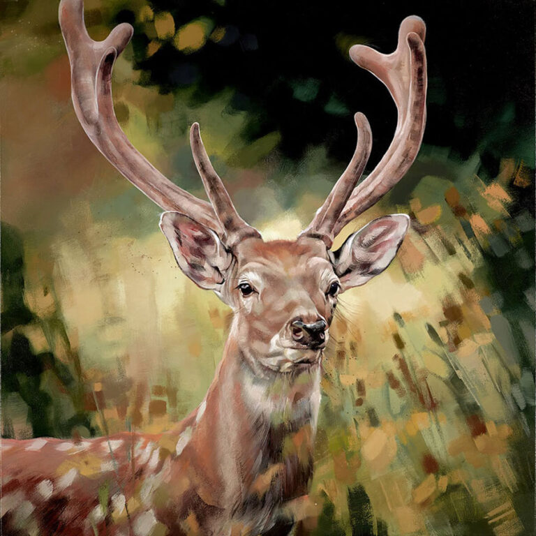Debbie Boon – Wildlife Art & Limited Editions Prints by Debbie Boon