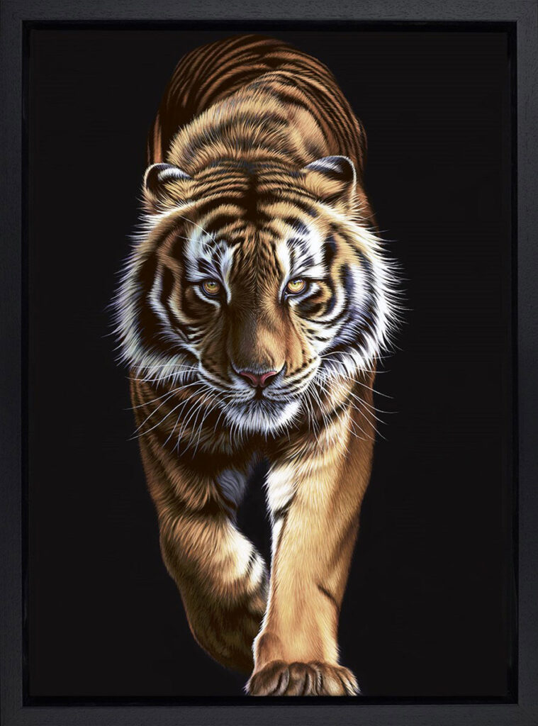 Darryn Eggleton On The Prowl - Diane Hutt Gallery