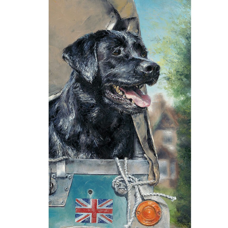 Anthony Dobson - Artist Prints and Framed Art - Diane Hutt Gallery