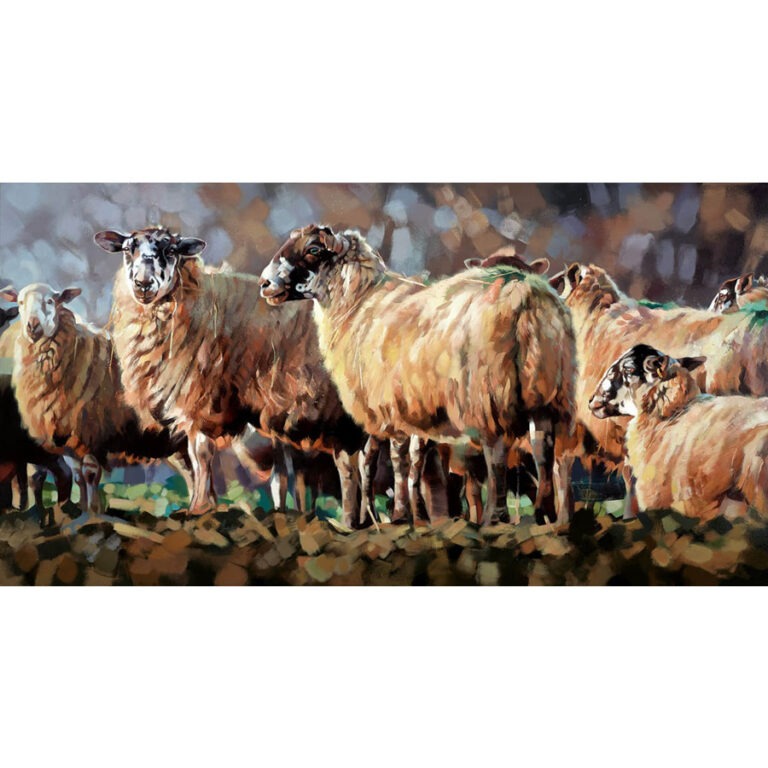 Debbie Boon – Wildlife Art & Limited Editions Prints by Debbie Boon