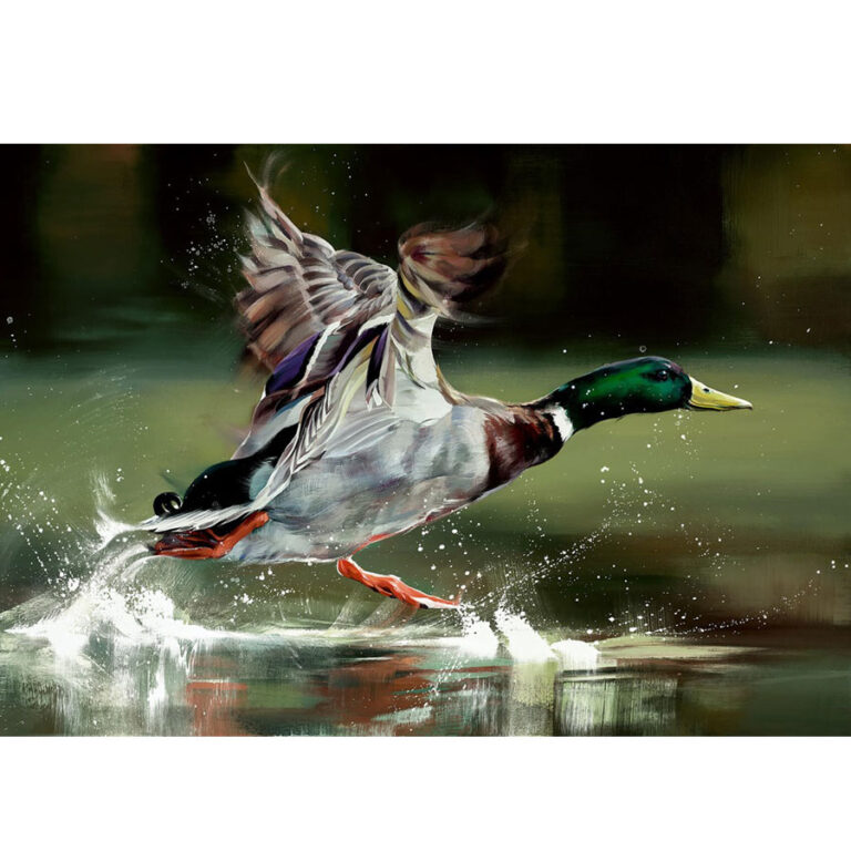 Debbie Boon – Wildlife Art & Limited Editions Prints by Debbie Boon