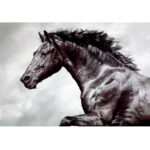 Debbie Boon – Wildlife Art & Limited Editions Prints by Debbie Boon