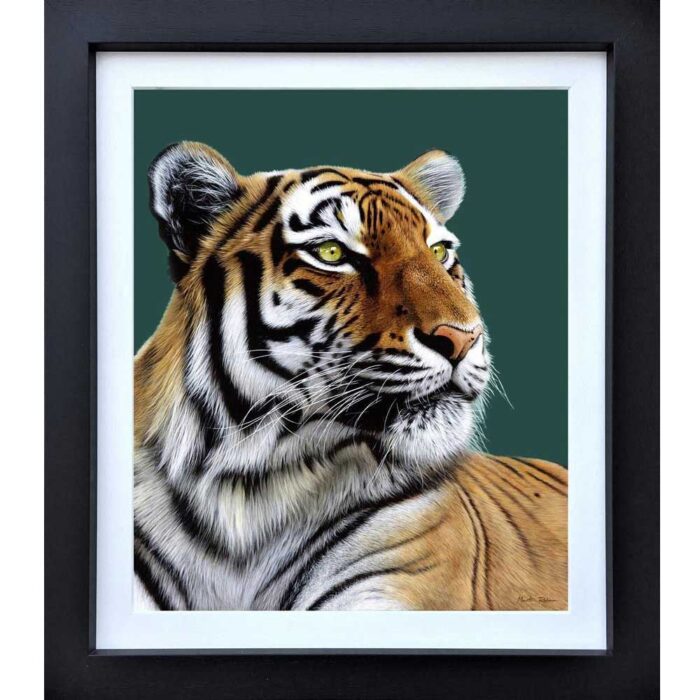Martin Robson Silent Hunter - Big Cat Artwork - Diane Hutt Gallery